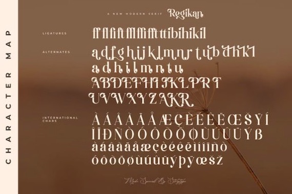 Regikan Font - Dafont101